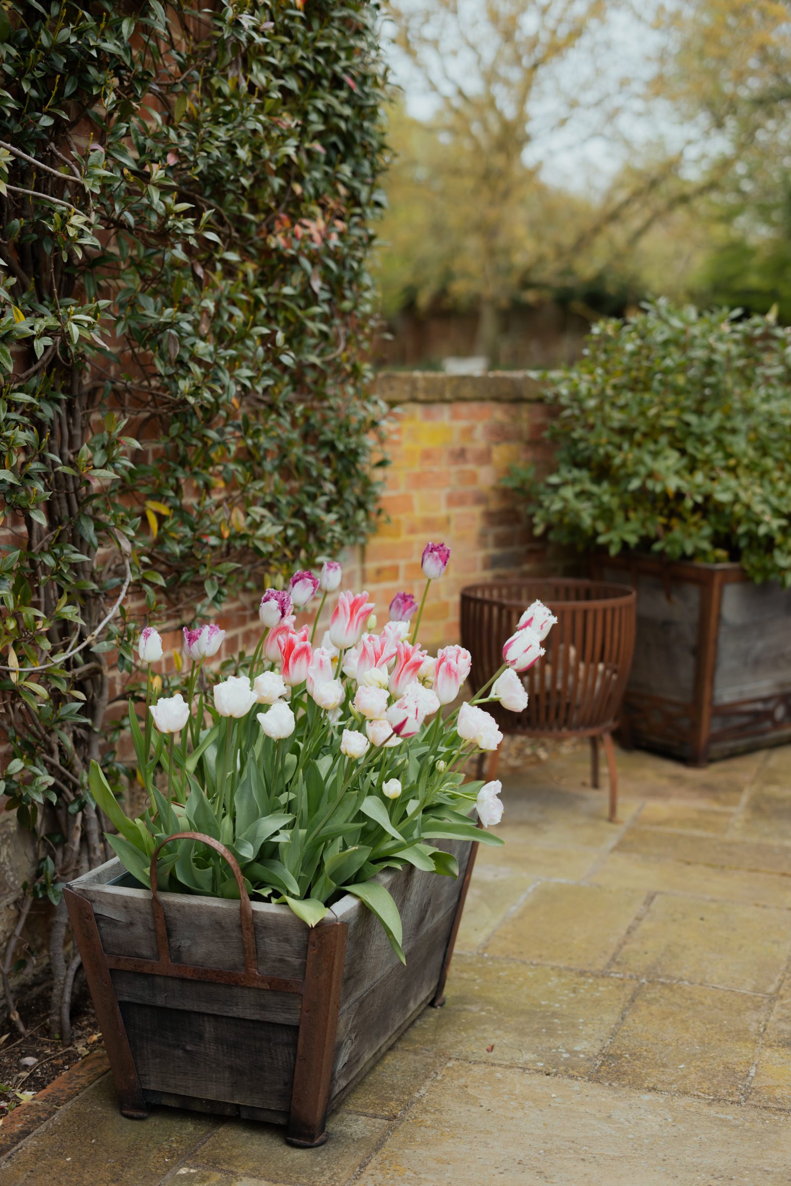 How to Plan NOW for your Spring Garden - Fashion Mumblr